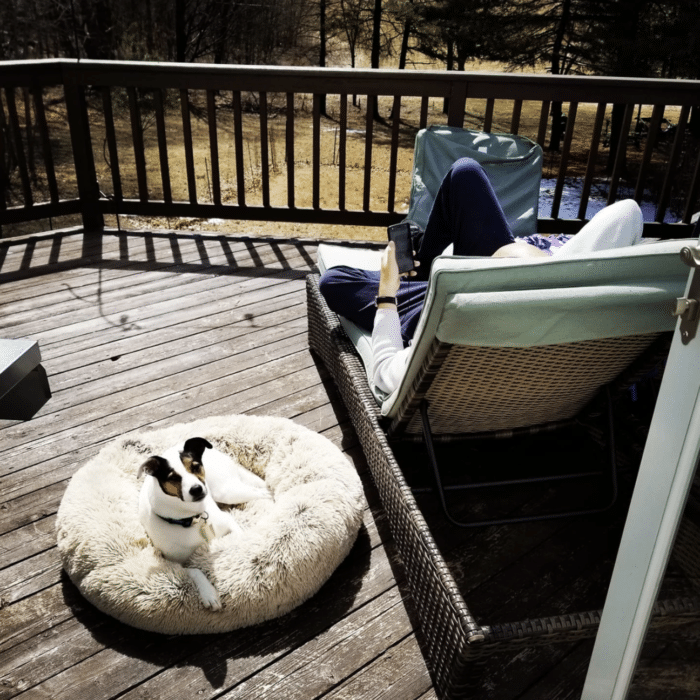 Cozy Paws Soothe Bed™ - Official Retailer