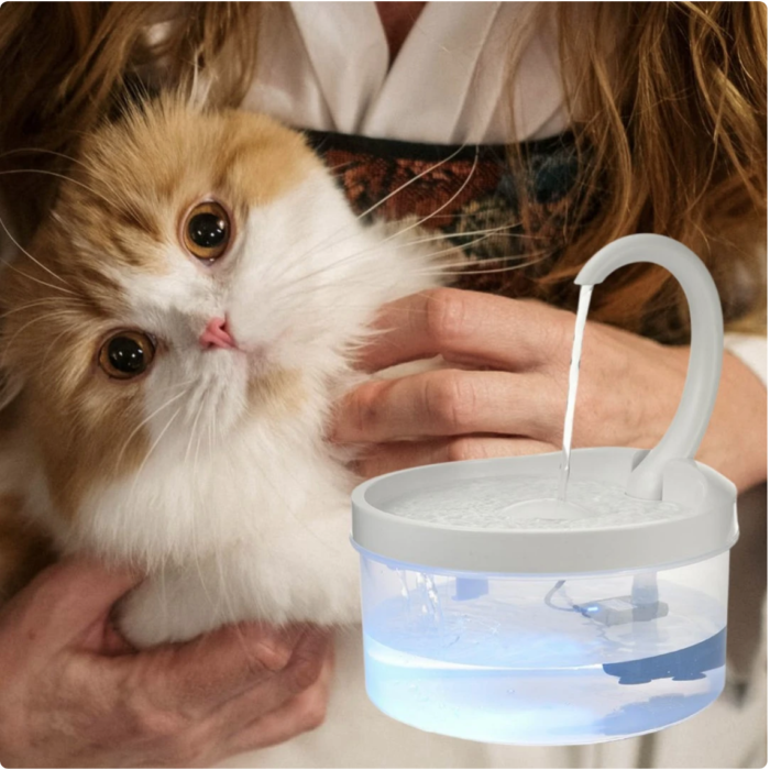 The KittySpout™ - Official Retailer